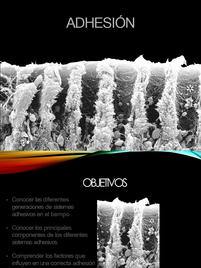Adhesion | PDF | Esmalte de dientes | Adhesivo
