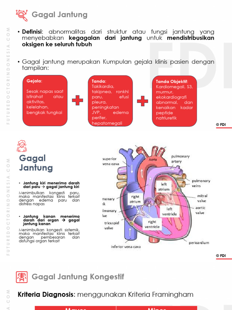 Contoh Modul CHF | PDF