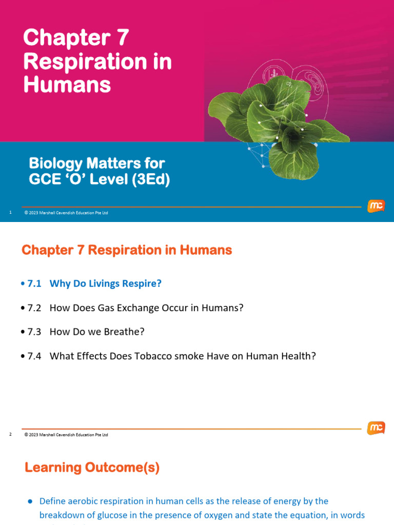 Chapter 7 Respiration in Humans | PDF | Breathing | Exhalation