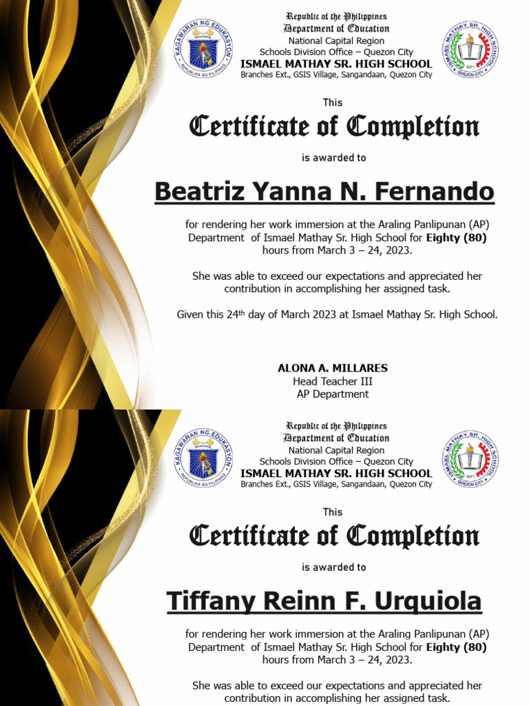Certificate - Immersion | Download Free PDF | Metro Manila | Governance