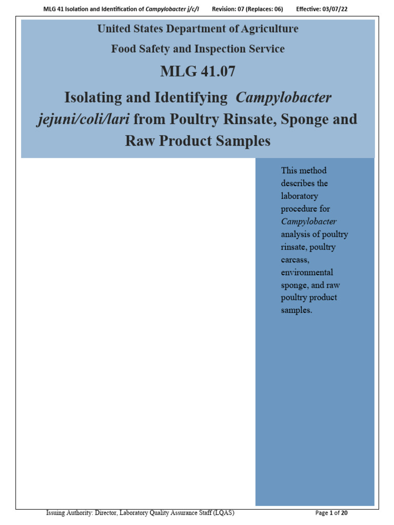 Campylobacter Isolation MLG - 41.07 | PDF | Microbiology