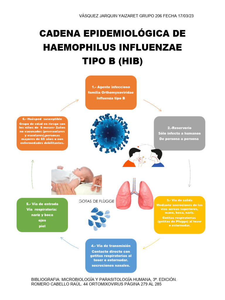 Cadena Epidemiológica de Haemophilus Influenzae Tipo B | PDF