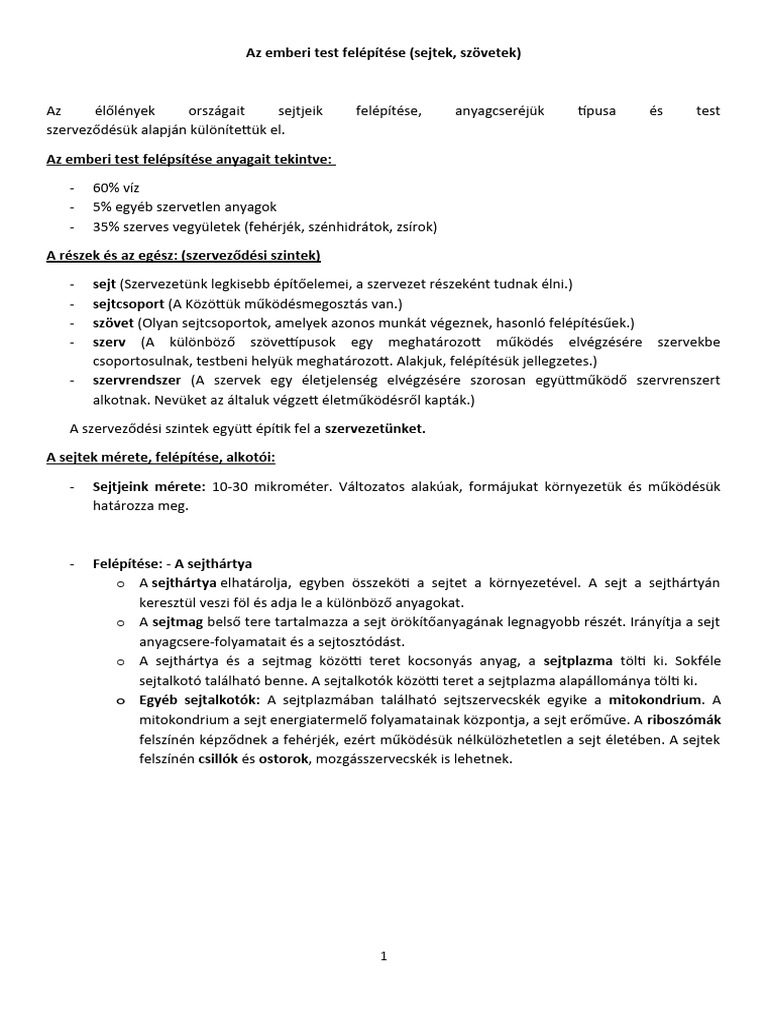 Az Emberi Test Felépítése | PDF
