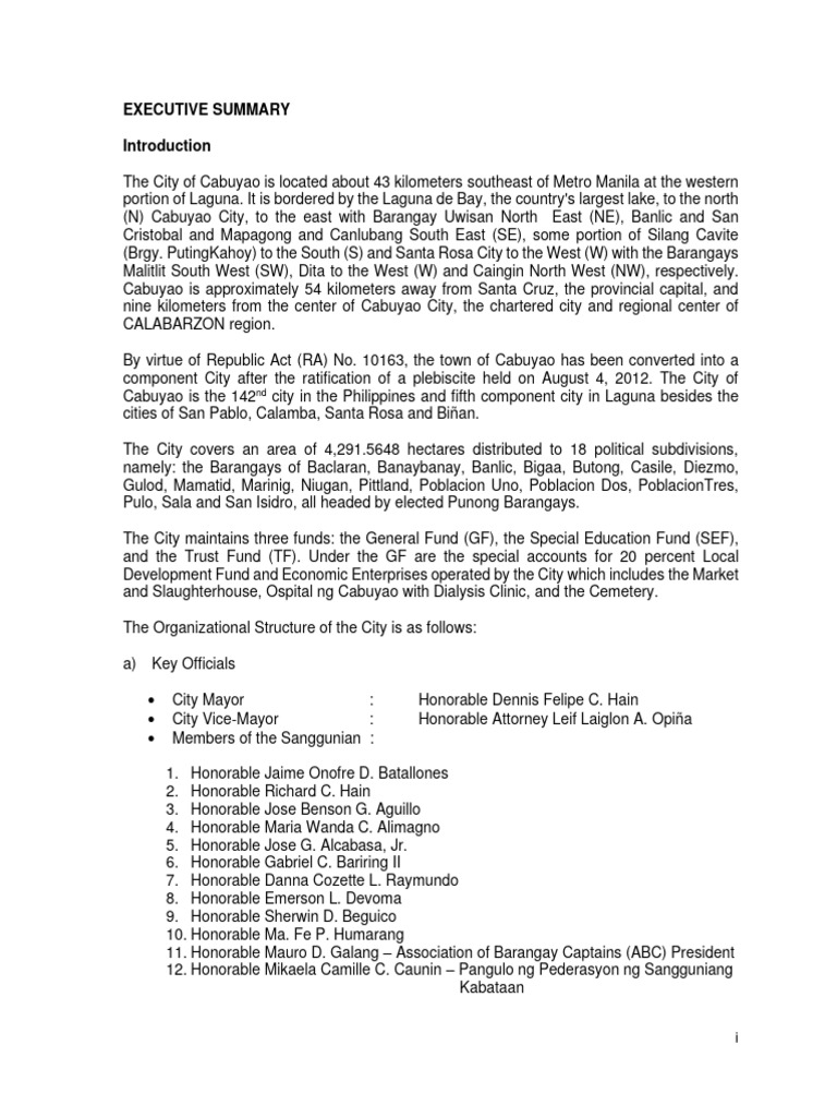 Cabuyao Exec Summary As of 2022 | PDF