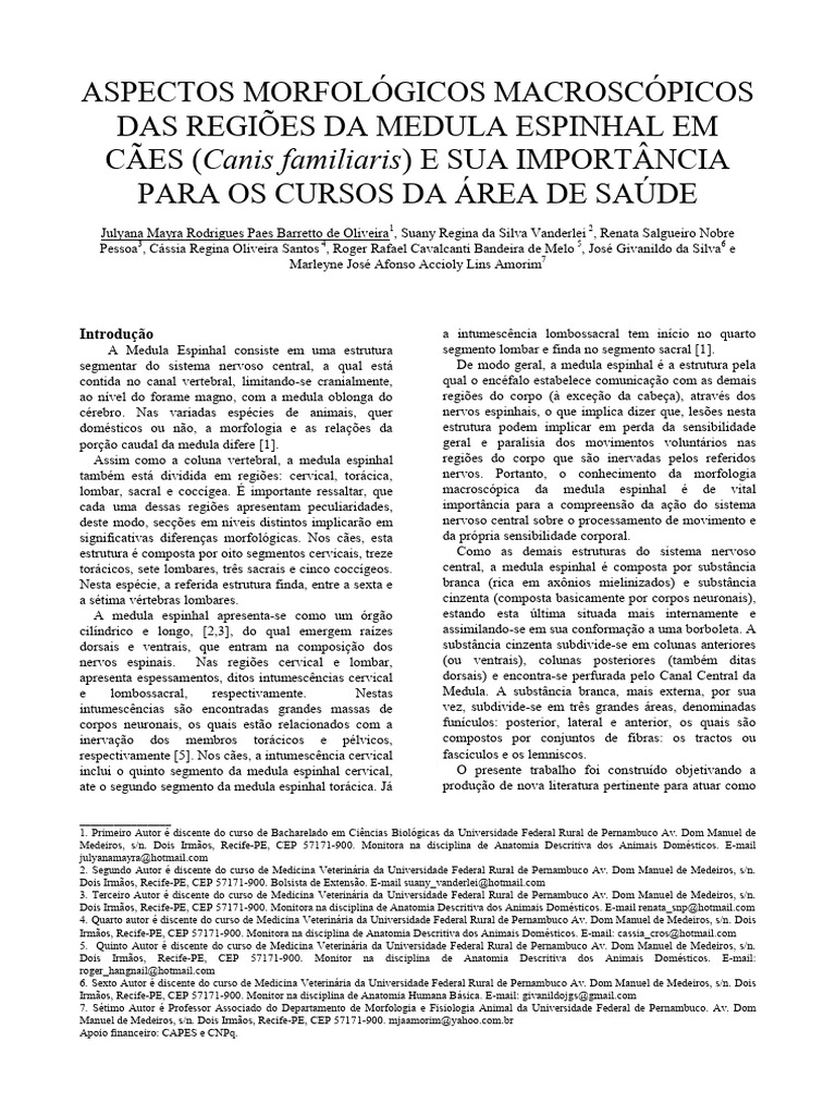 Morfol Da Medula Espinha em Caes | PDF | Medula espinhal | Coluna vertebral