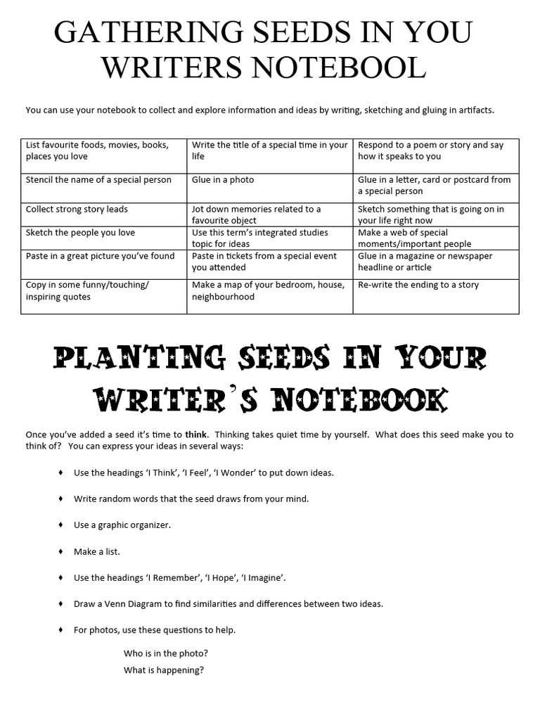 Writer's Notebook Seed Instructions | PDF | General Fiction