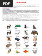Mon animal préféré : chat et chien | PDF | Livres de cuisine ...