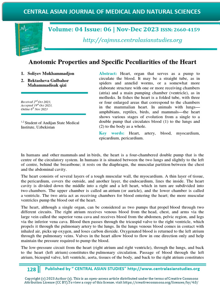 Anotomic Properties and Specific Peculiarities of The Eye | PDF ...