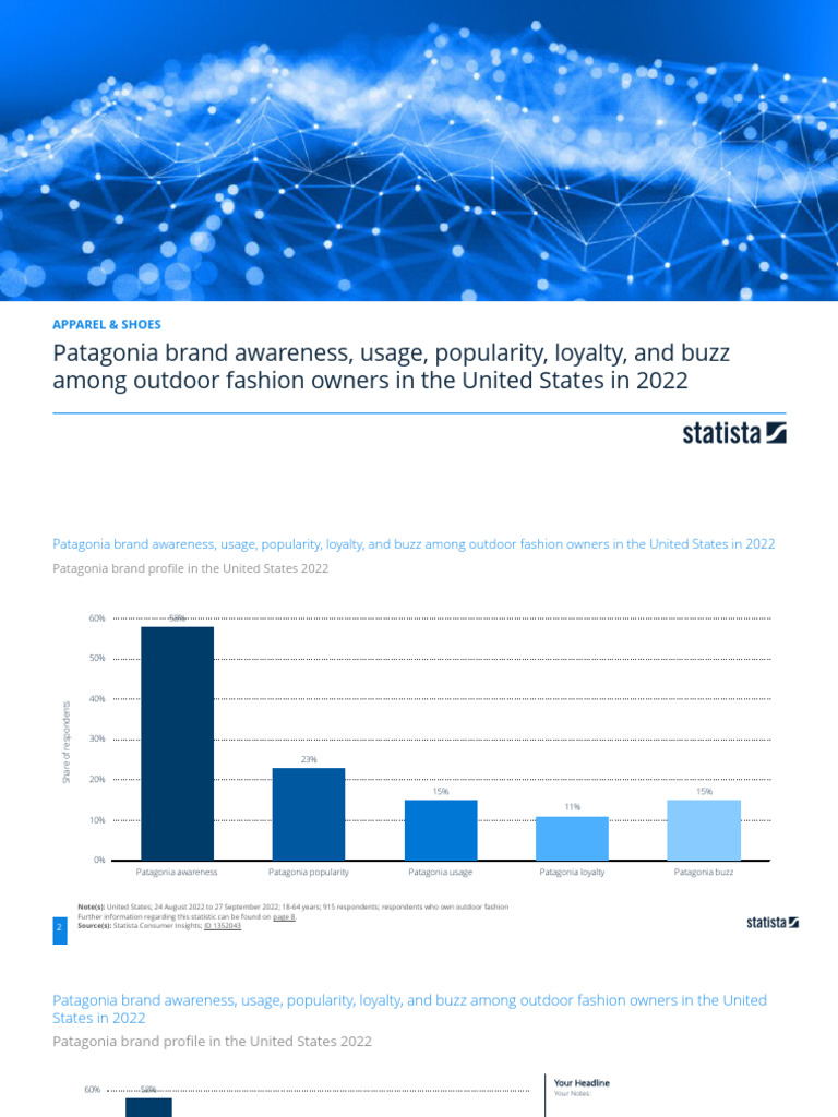 Patagonia Brand Profile 2022 Insights | PDF | Brand | Business Economics