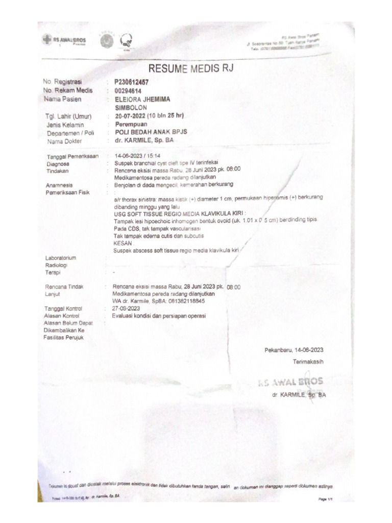 Resume Medis RJ | PDF