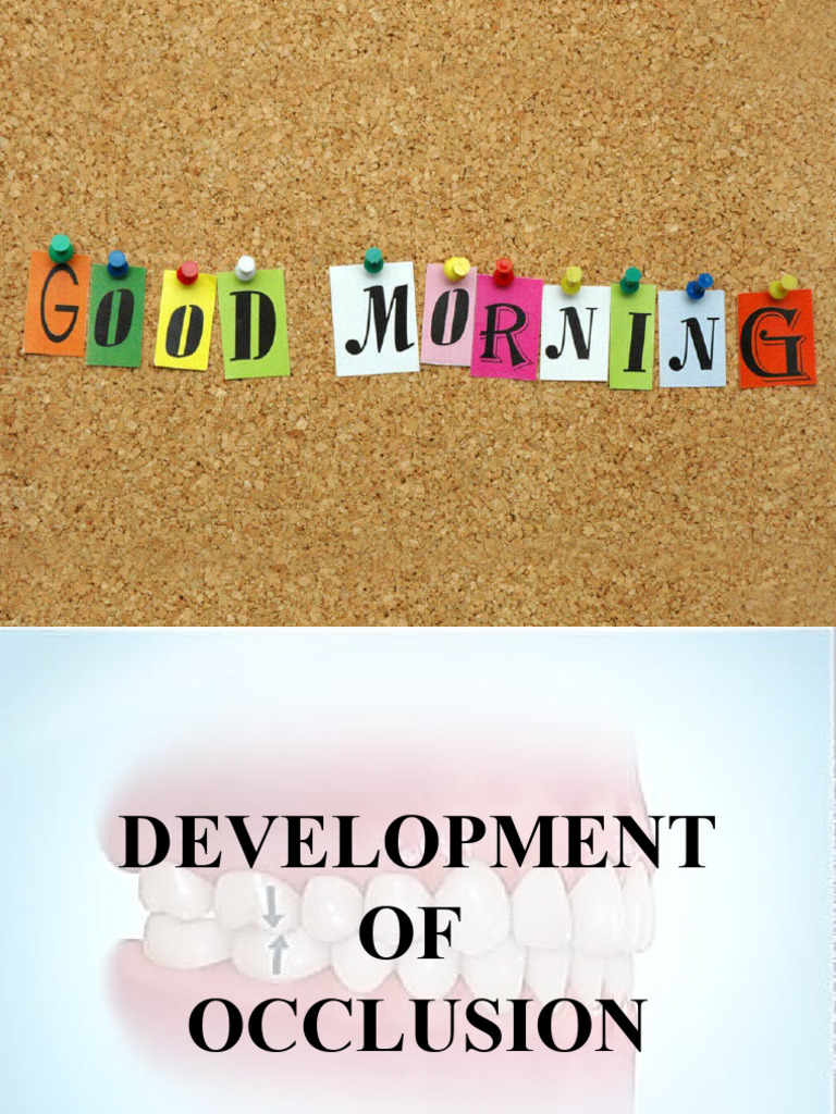 Development of Occlusion | PDF | Tooth | Mouth