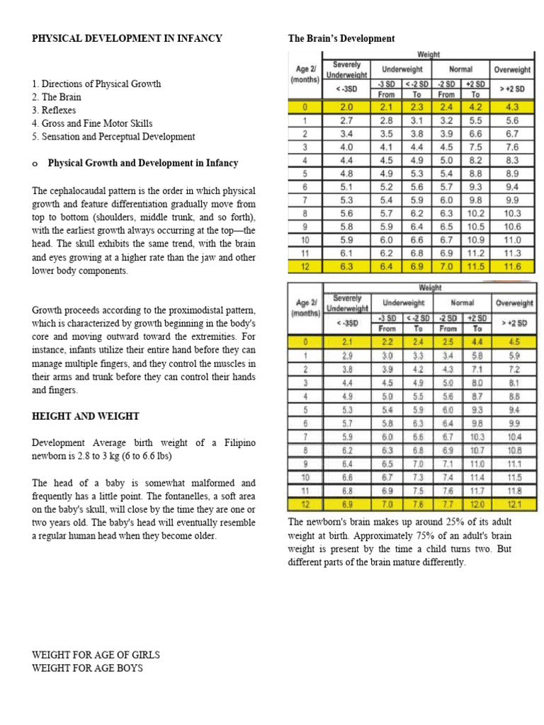 Physical Development in Infancy | PDF | Perception | Senses