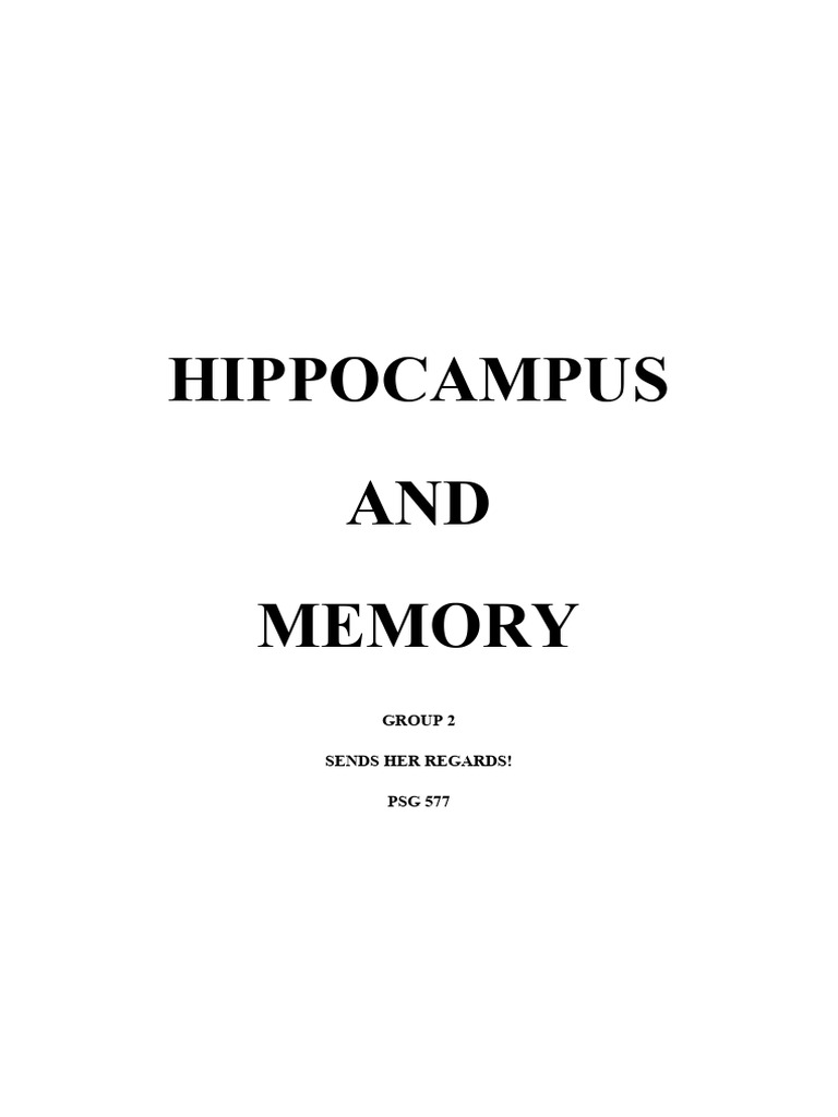 Hippocampus Class Version | PDF