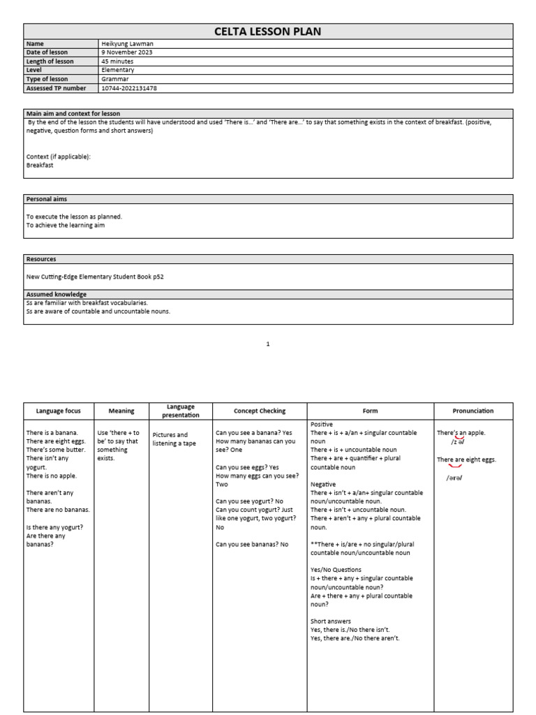 CELTA Grammar Lesson Plan: "There is/are" | PDF | Noun | Grammatical Number