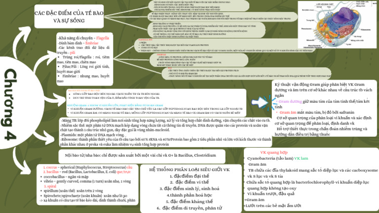 Chương 4 - Sơ Đ Tư Duy | PDF