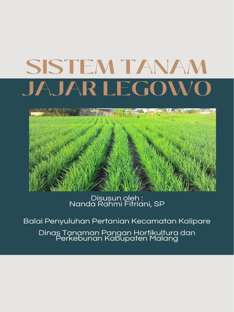 Panduan Sistem Tanam Jajar Legowo | PDF