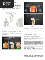 Tórax Tonel, Pectus Carinatum e Pectus Exacavatum | PDF | Doença de ...