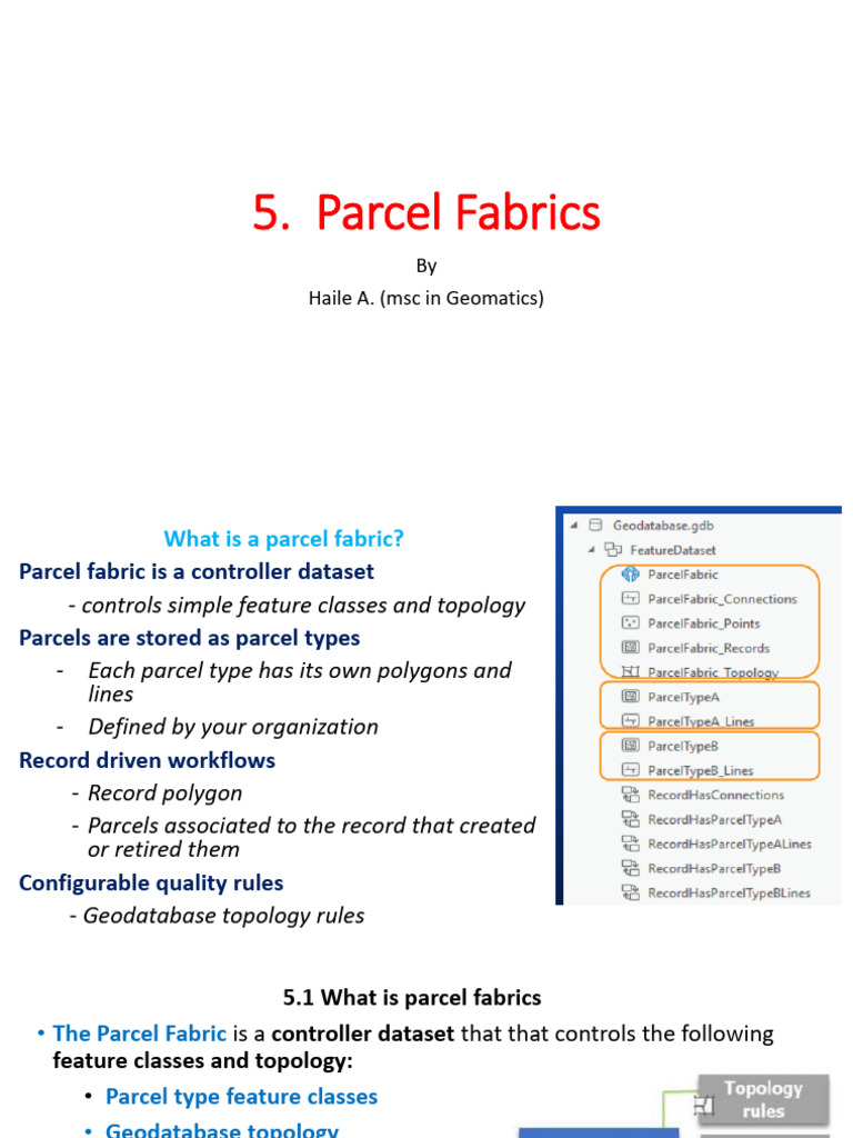 Parcel Fabric | PDF | Dimension | Mathematical Concepts