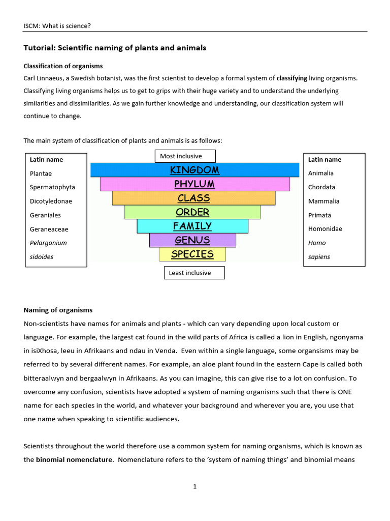 Practical 1 Scientific Names of Plants and Animals | PDF | Onion | Plants