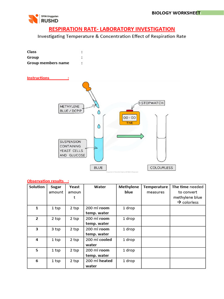 1708315662-Yeast Respiration Lab Experiment | PDF