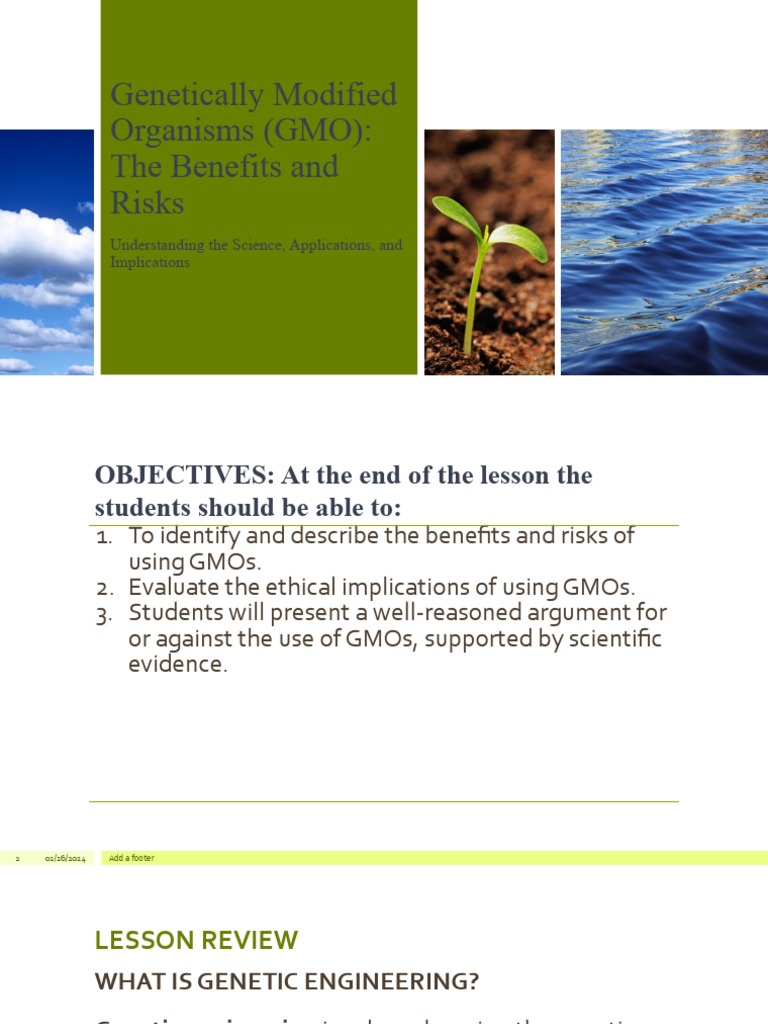 Genetically Modified Organisms GMO | PDF | Genetically Modified ...