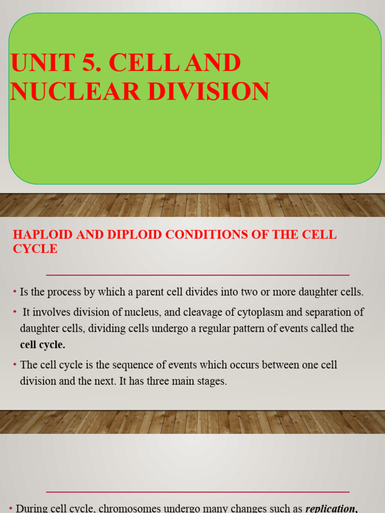 Unit 5. Cell Division | PDF