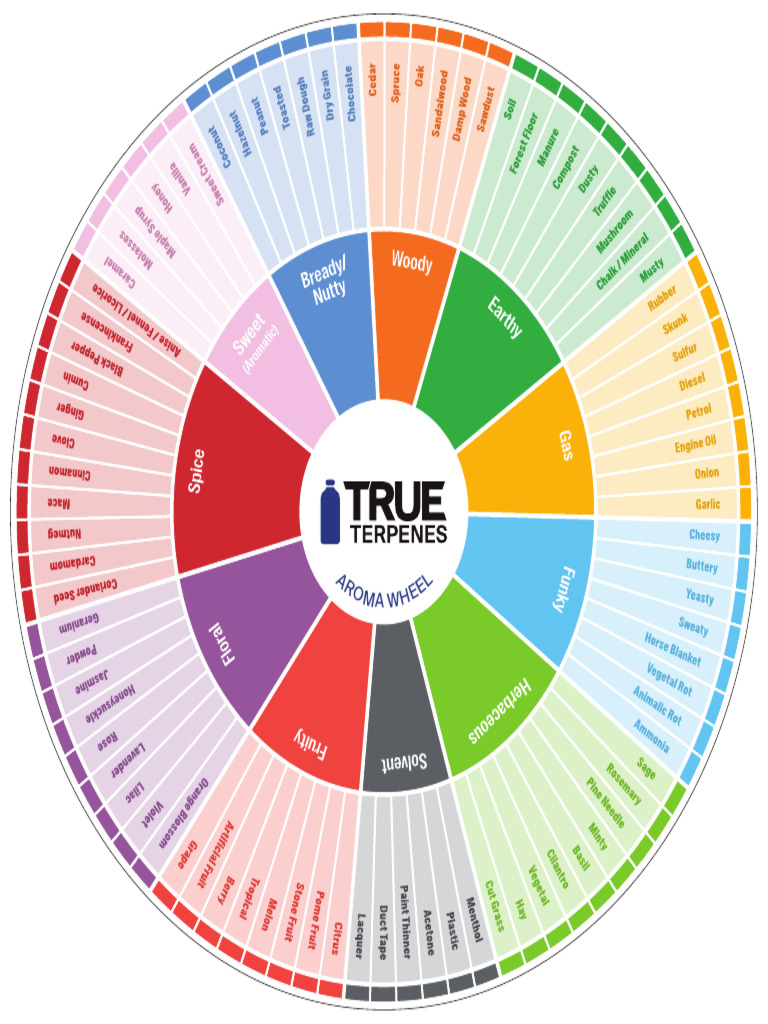 True Terpenes Aroma Wheel | PDF True Terpenes Aroma Wheel | PDF