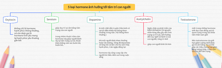 GRE Study Plan | PDF