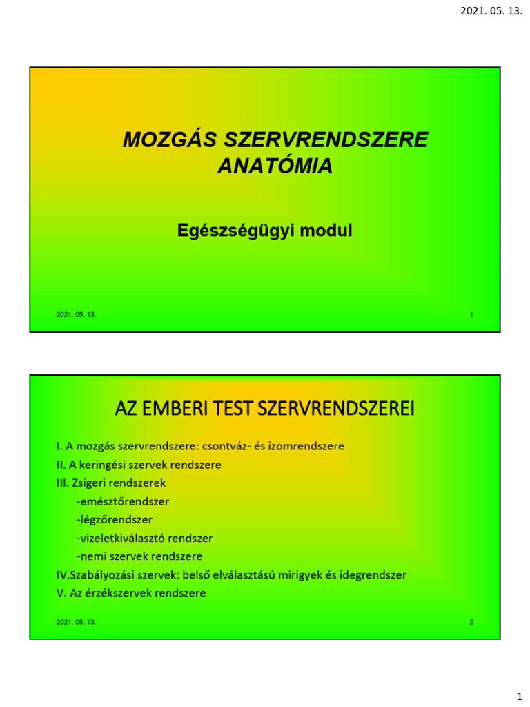 2.1.1 Mozgásrendszer-Anatómia - Csontok Ízületek-Végleges | PDF