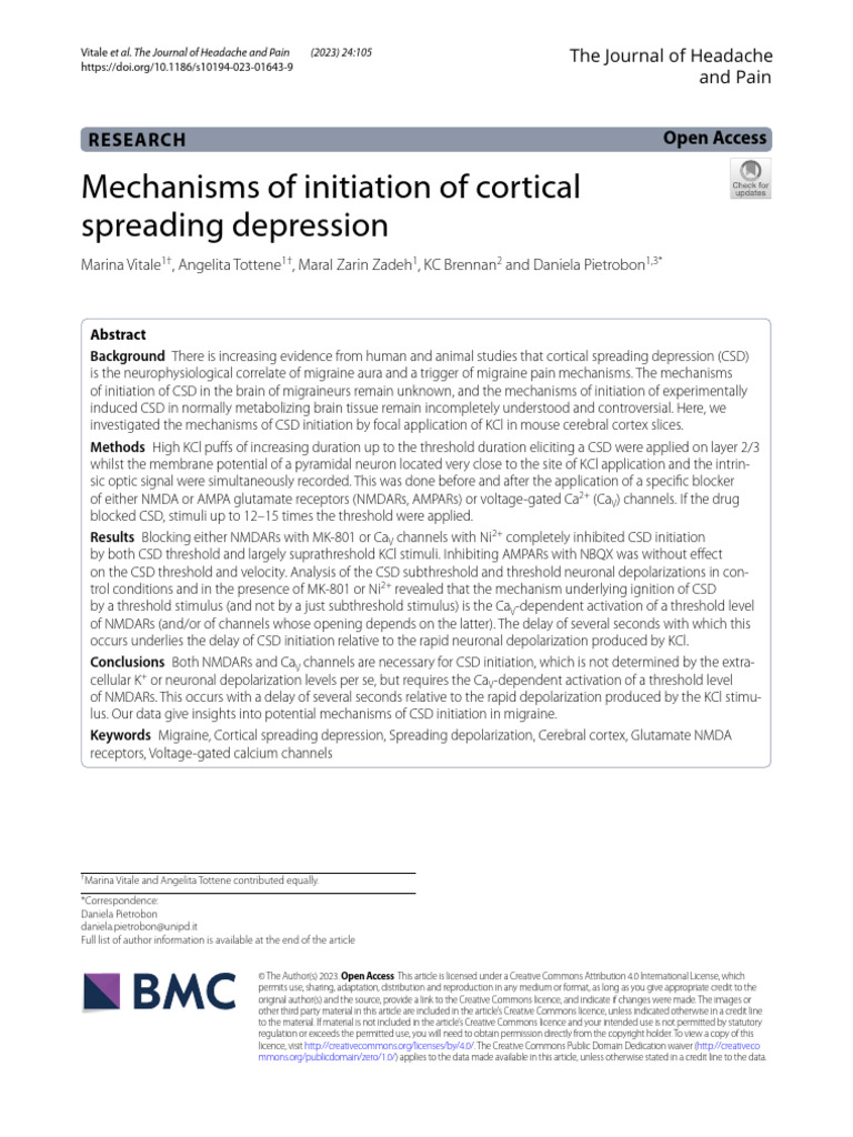 Mechanisms of Initiation of Cortical Spreading Depression | PDF ...