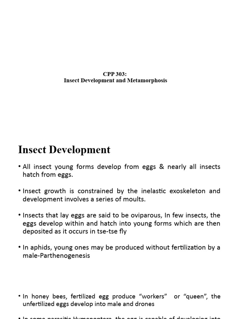 Insect Growth and Metamorphosis Explained | PDF | Pupa | Insects