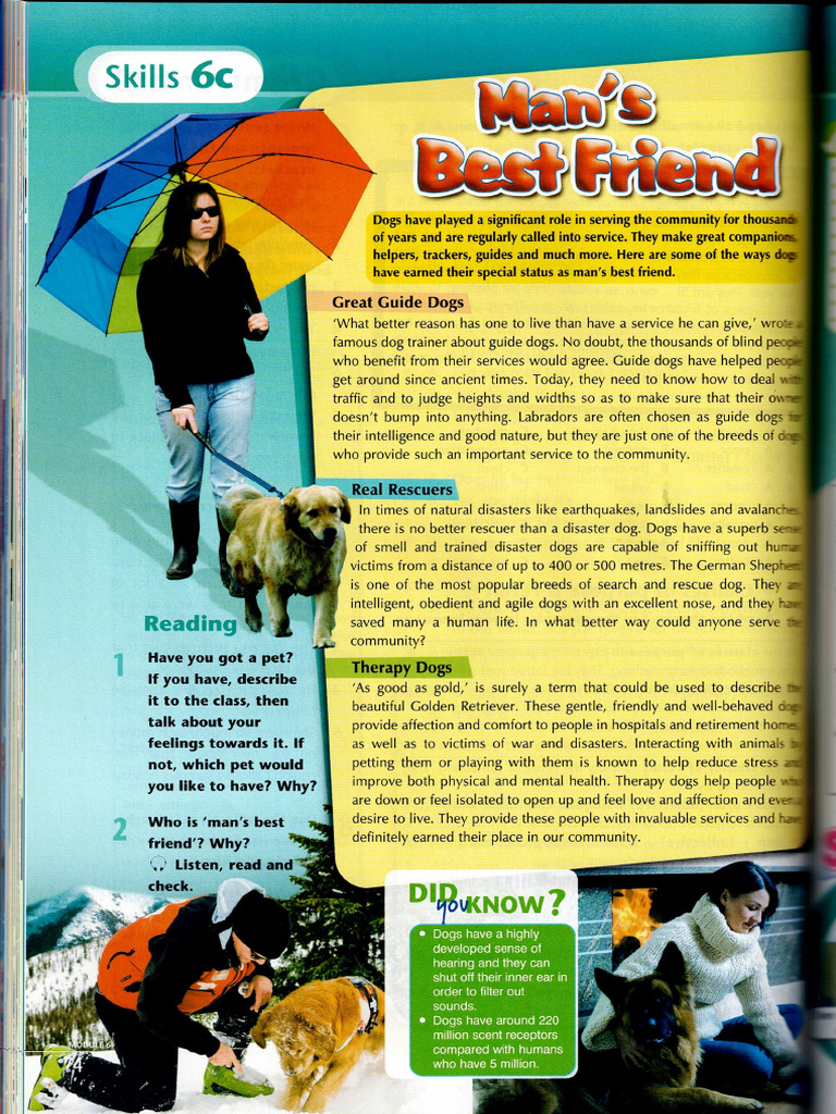 Man's Best Friend | PDF