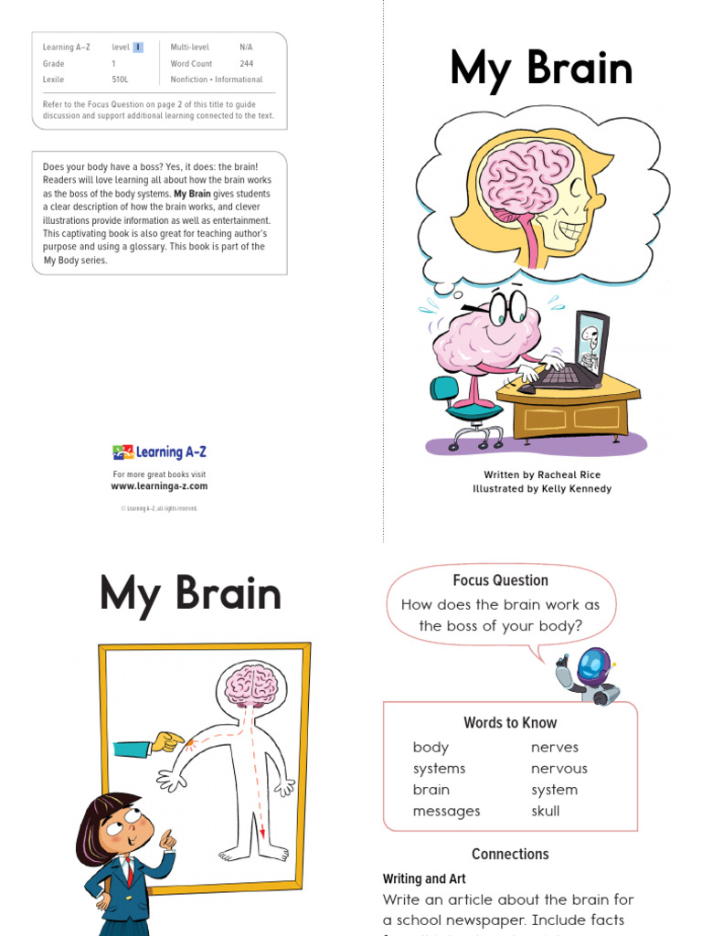 My Brain | PDF | Self-Improvement