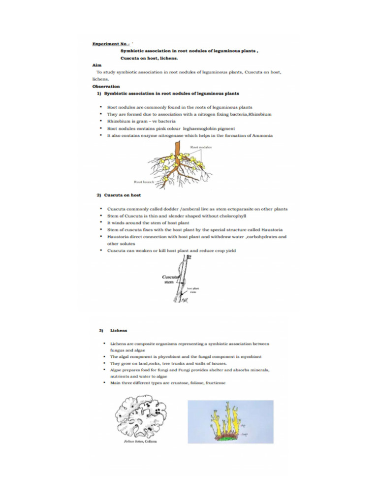 Symbiotic Association | PDF