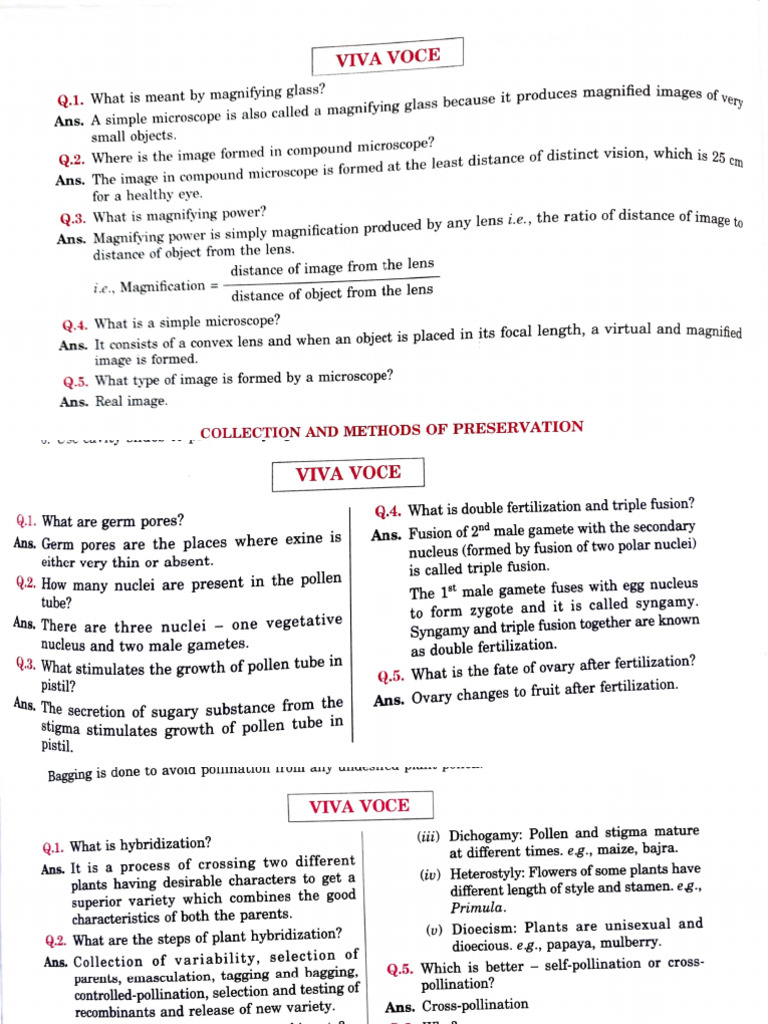 Viva | Download Free PDF | Mitosis | Meiosis