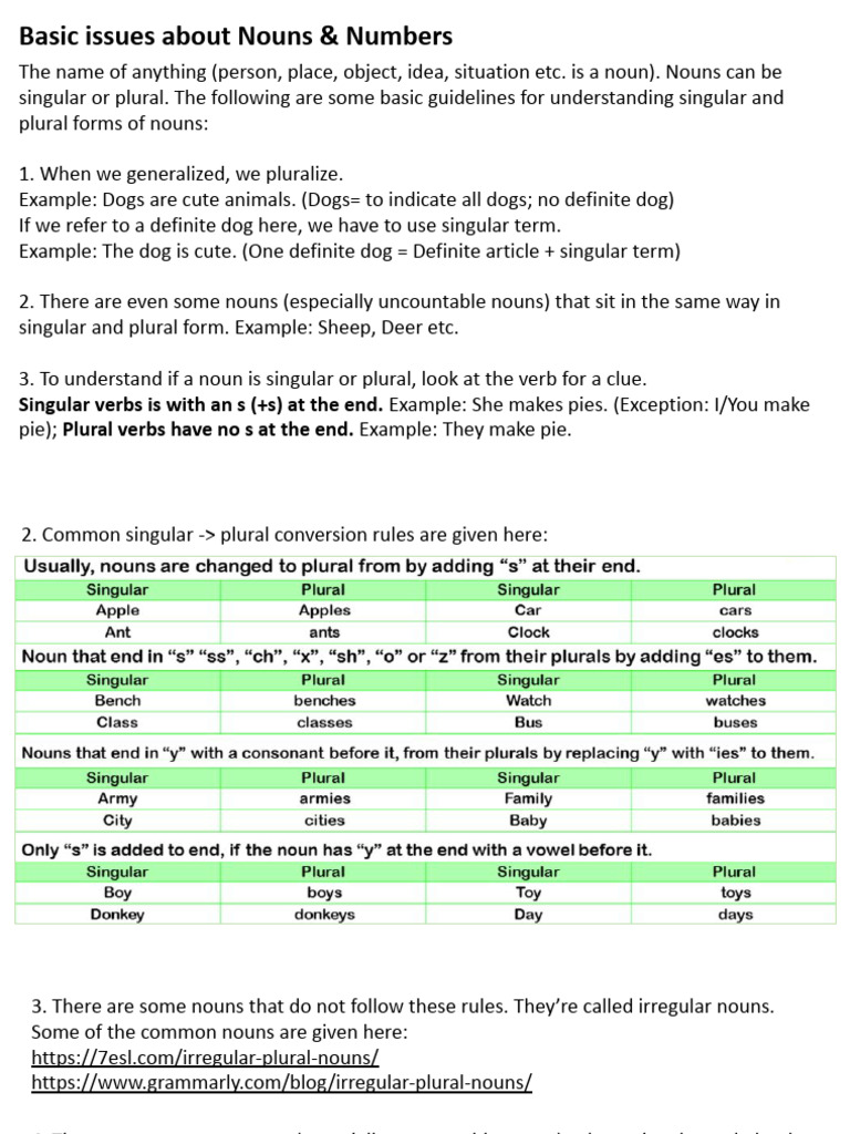 Nouns - Numbers, and Pryyonouns | PDF | Grammatical Number | Pronoun
