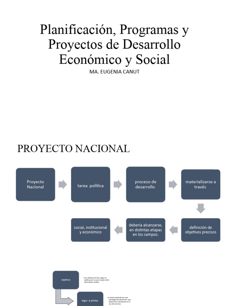 Planificación, Programas y Proyectos | PDF | Negocios