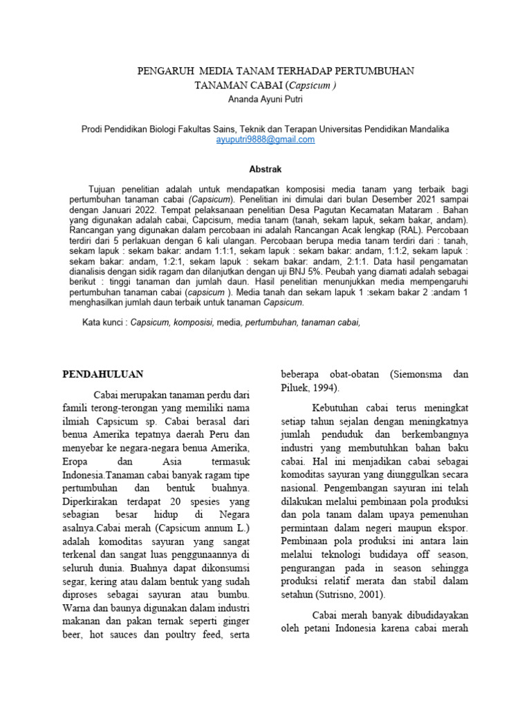 Media Tanam Optimal untuk Cabai Capsicum | PDF | Teknologi & Rekayasa