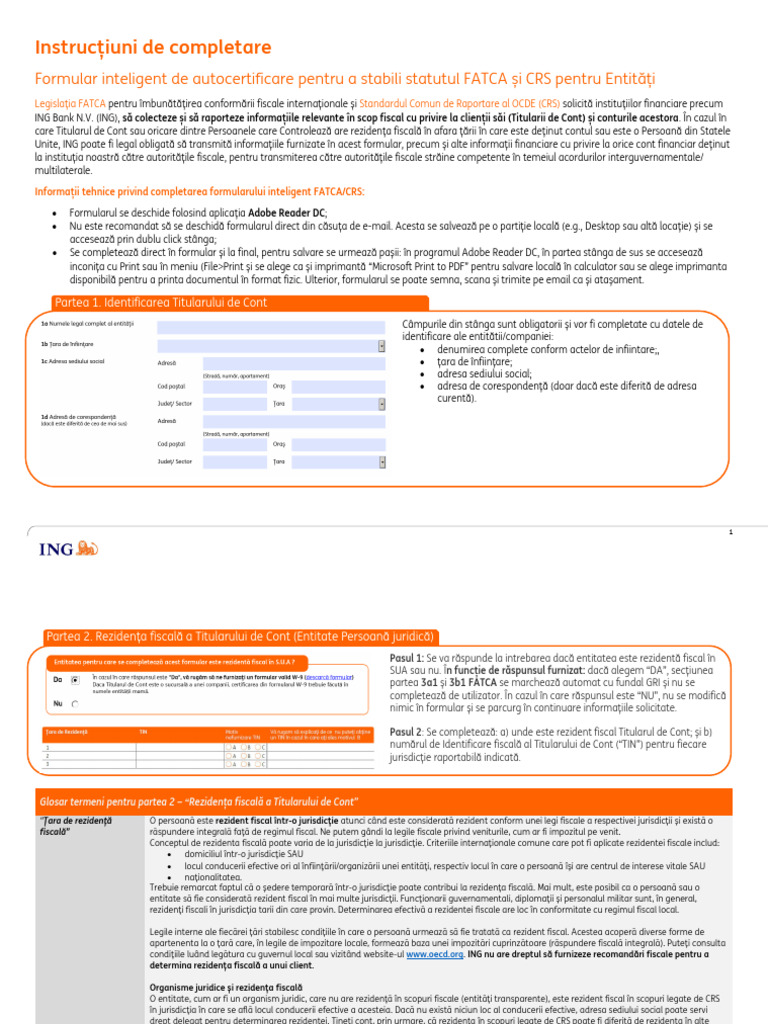 Ghid - Formular FATCA CRS Entitati | PDF