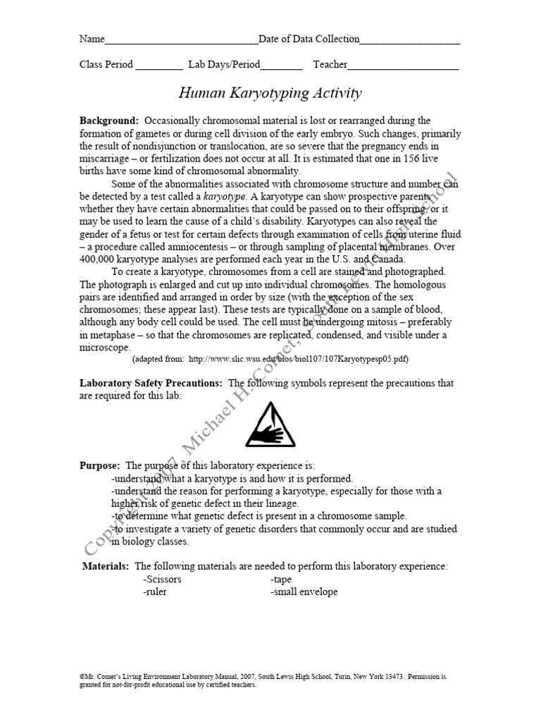 Human Karyotyping Activity | PDF | Karyotype | Chromosome