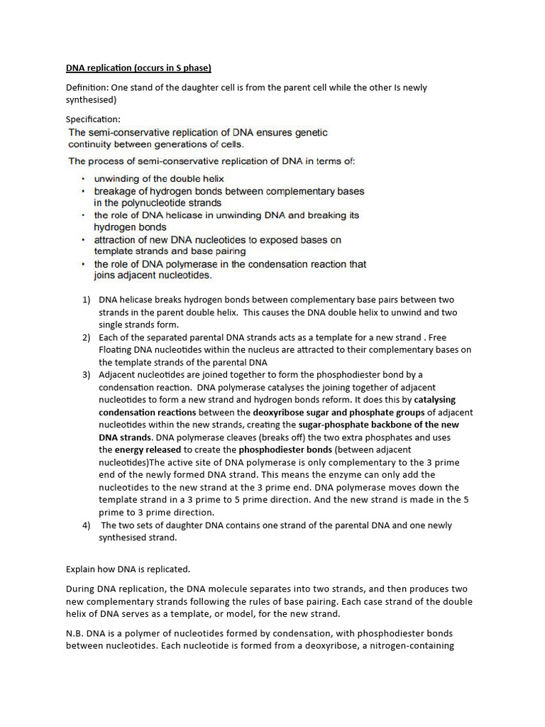DNA Replication | PDF