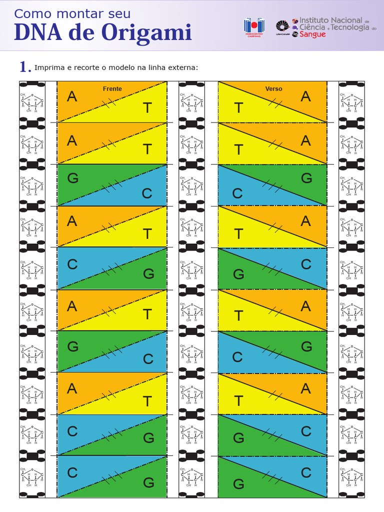 Dna Origami | PDF | Origami