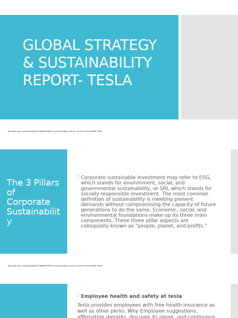 Global Strategy Sustainability Report Tesla | PDF