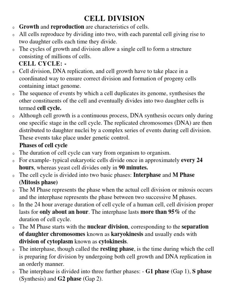 Cell Division | PDF | Meiosis | Mitosis