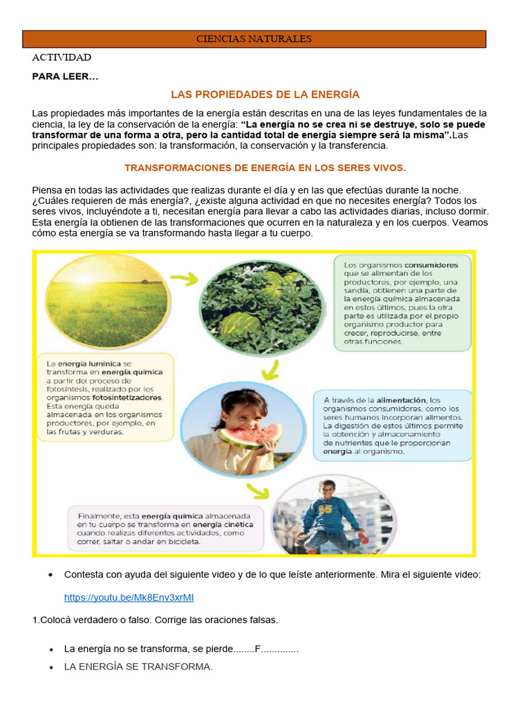 Actividades de Ciencias Naturales | PDF