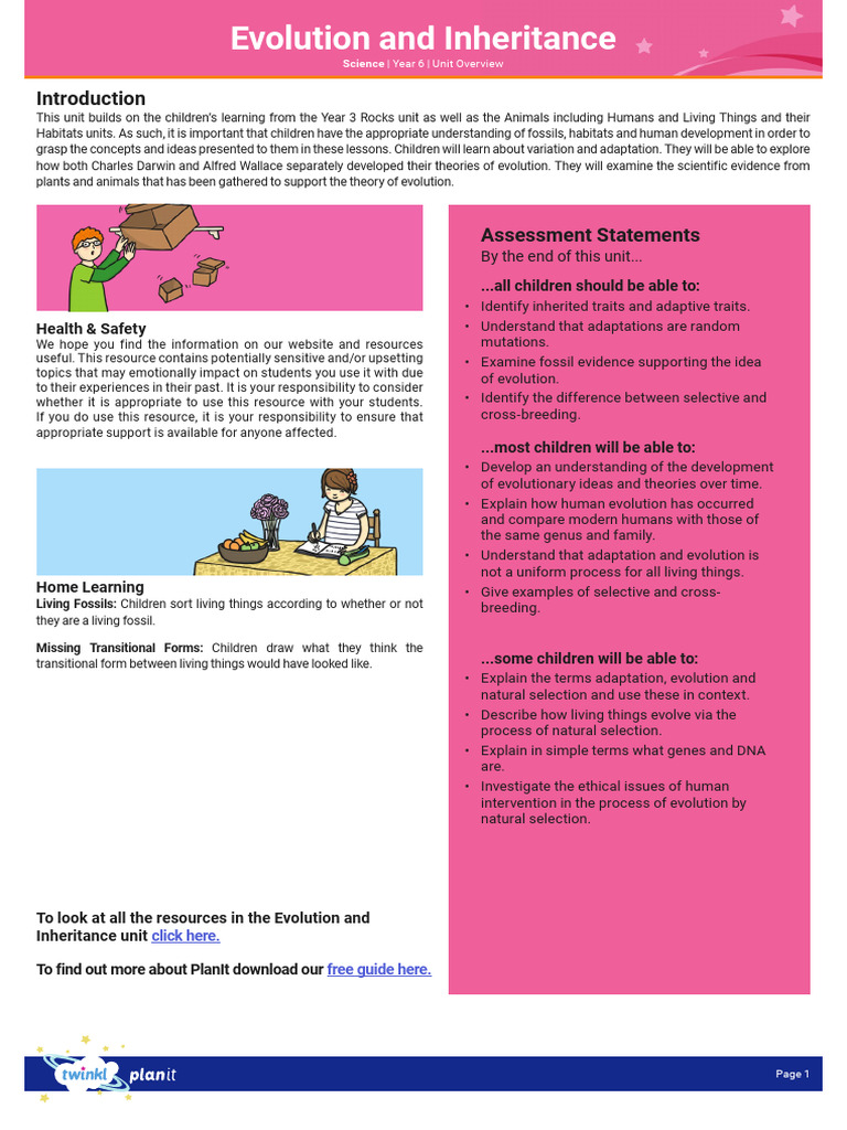 Year 6 Evolution and Inheritance Unit | PDF | Evolution | Heredity