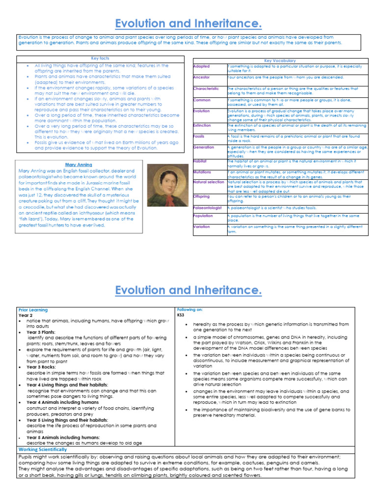 Evolution Basics for Young Learners | PDF | Evolution | Species