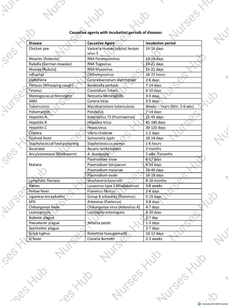 CHN Updated Important Key Notes | PDF
