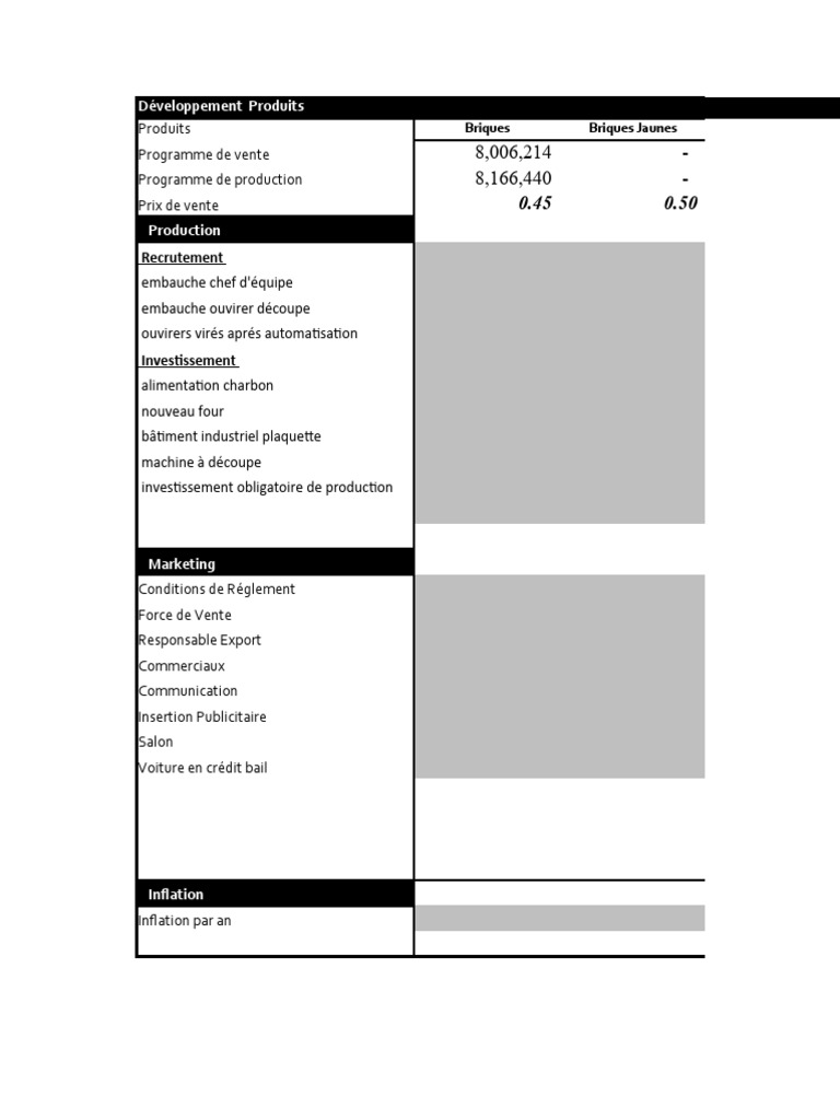 Business Plan Financier | PDF