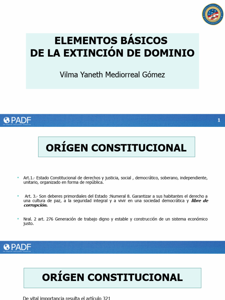 Elementos Básicos de La Extinción de Dominio - VM | PDF | Propiedad | Lavado de dinero